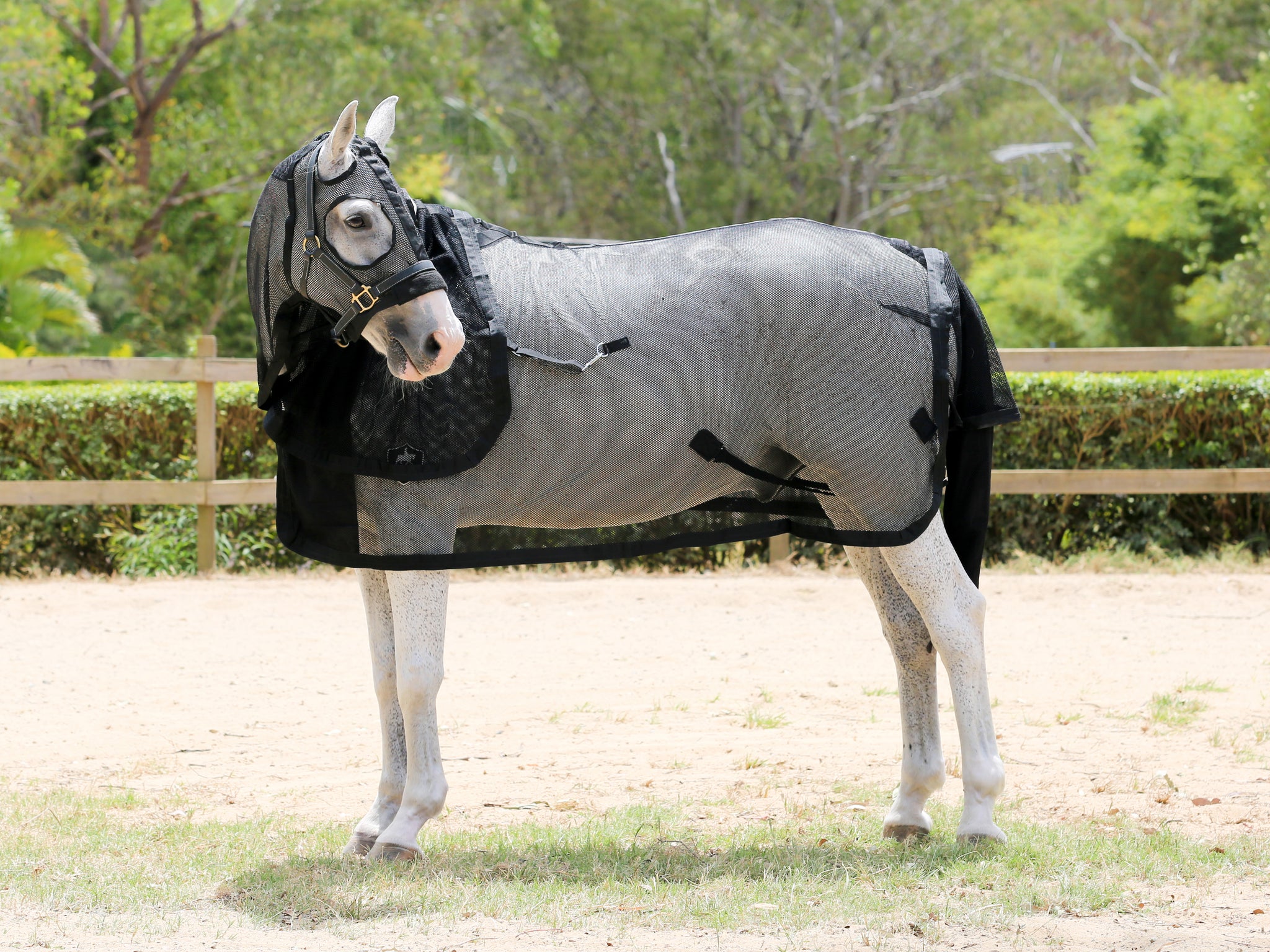 Summer Mesh Hood Set - Black
