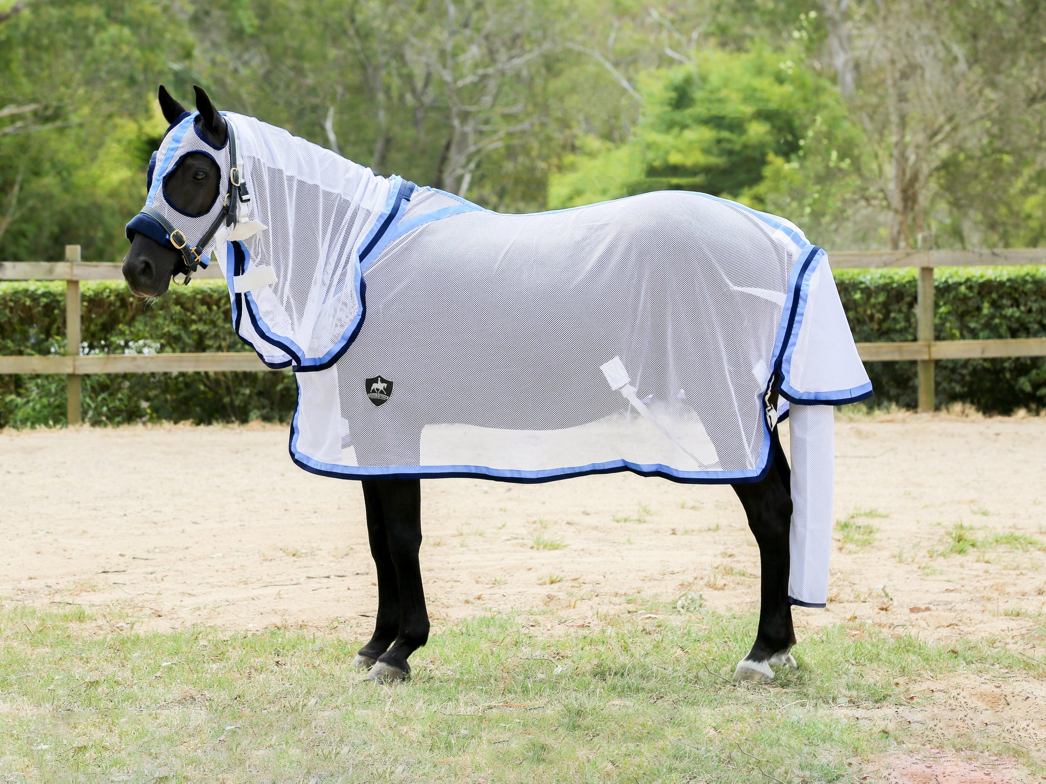 Summer Mesh Hood Combo - White with Sky and Navy Blue Trim