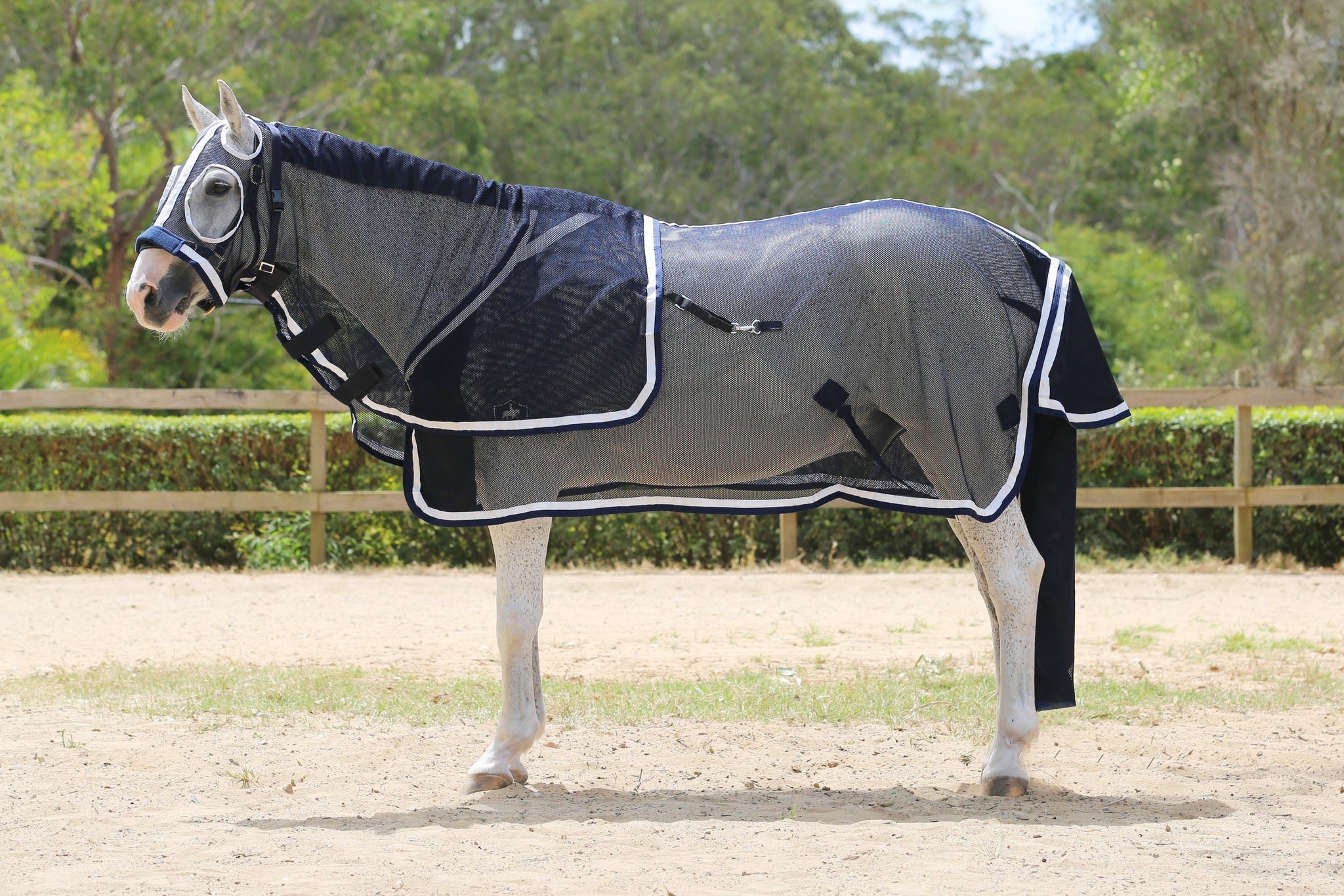 Summer Mesh Hood Set - Navy