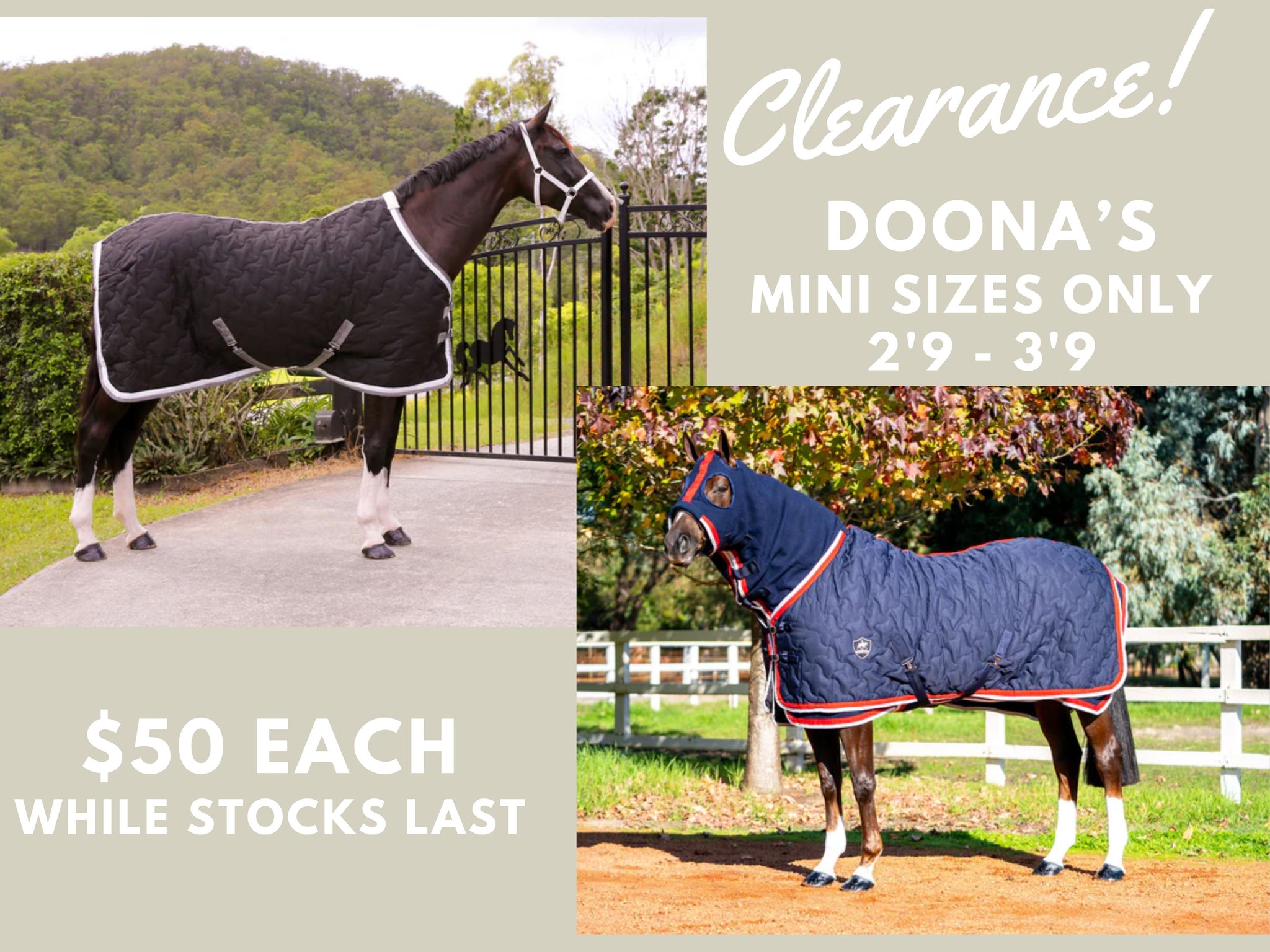 Luxury Stable Doona - Mini Sizes Clear Out - $50 EACH!!