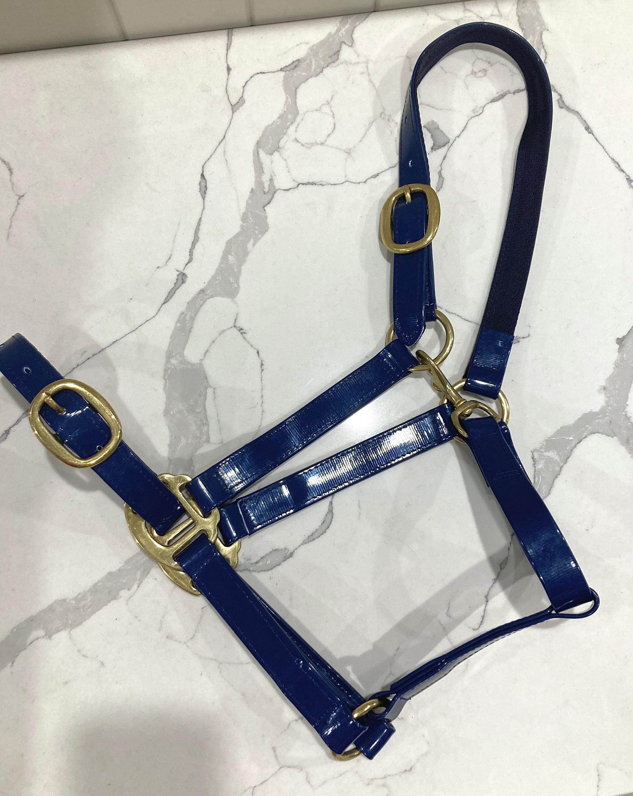 PVC Halter - Navy with Brass Buckles