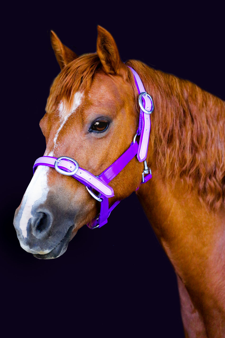 PVC Halter - Purple & Lilac