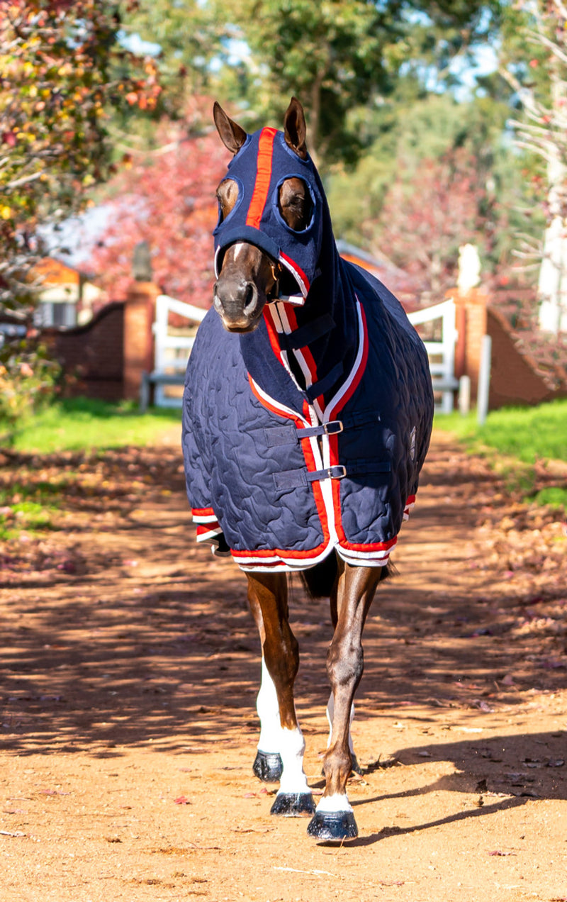 Luxury Stable Doona - Navy with Red & White Trim