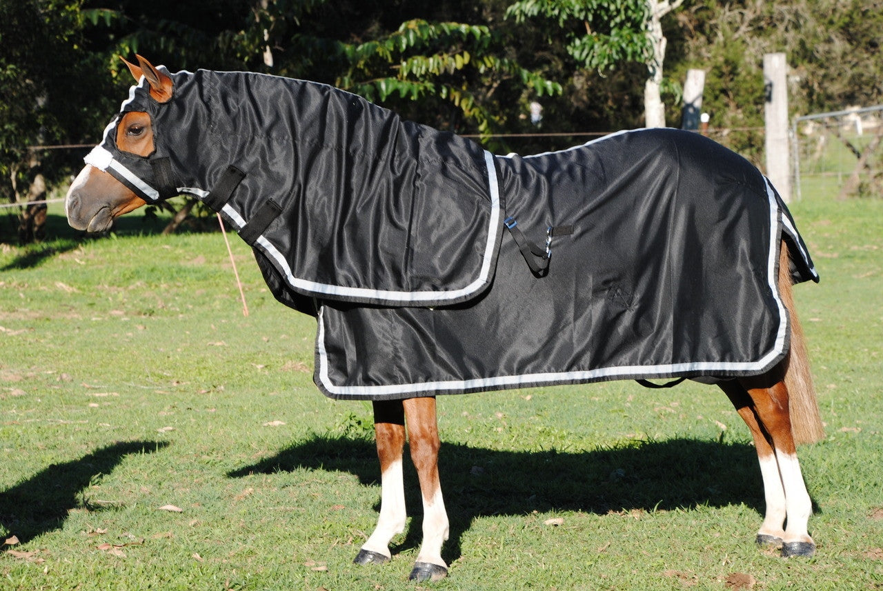 Black Show Set + Surcingle with Platinum & Black Trims