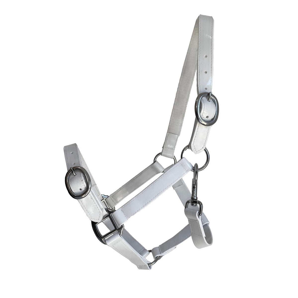 PVC Halter - White with Chrome Buckles - Discontinued Stock