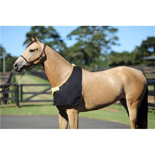 Economy cotton Drill Rug Bib