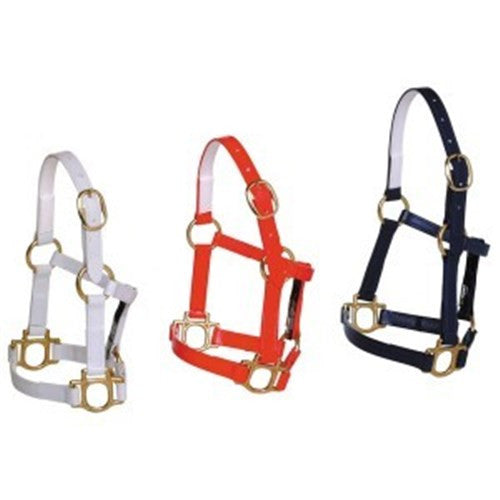 Miniature Pony PVC Halter - Assorted Colours