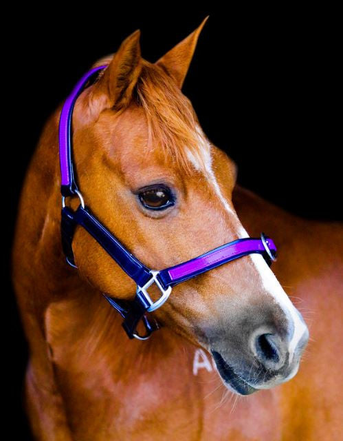 PVC Halter - Dark Navy & Purple